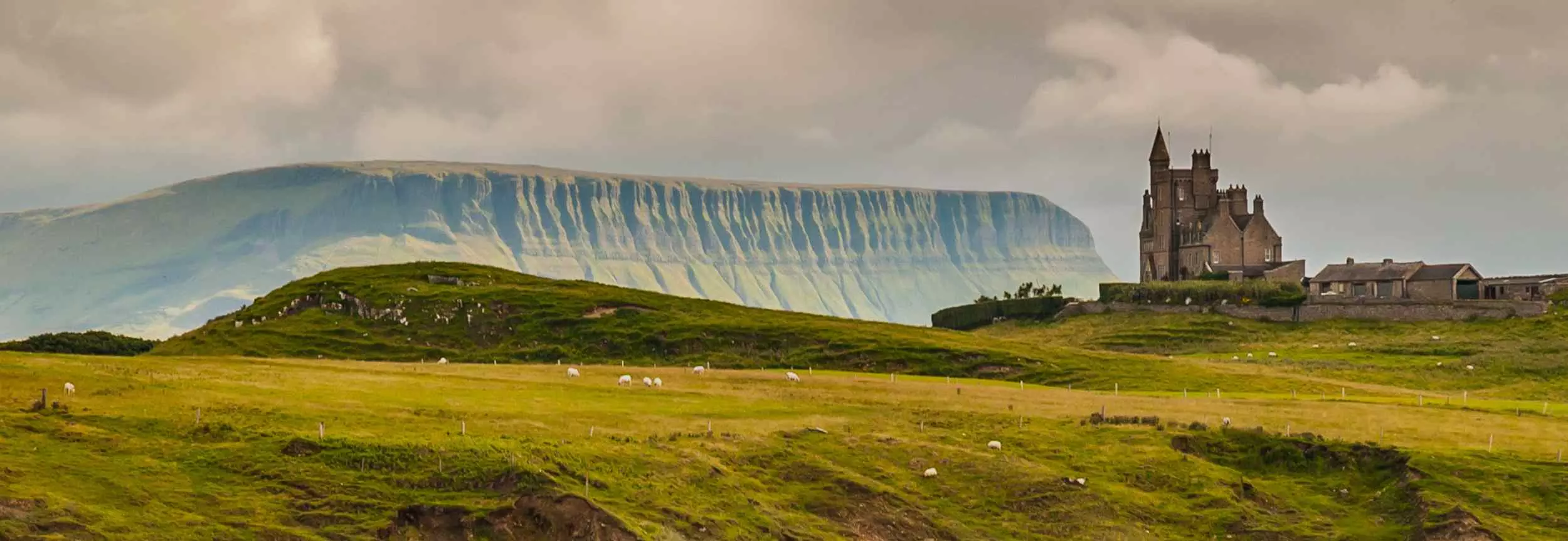 Region Profile - Ireland